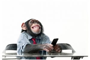 Monkey Business atau Bisnis Monyet dalam Dunia Investasi – Belajar ...